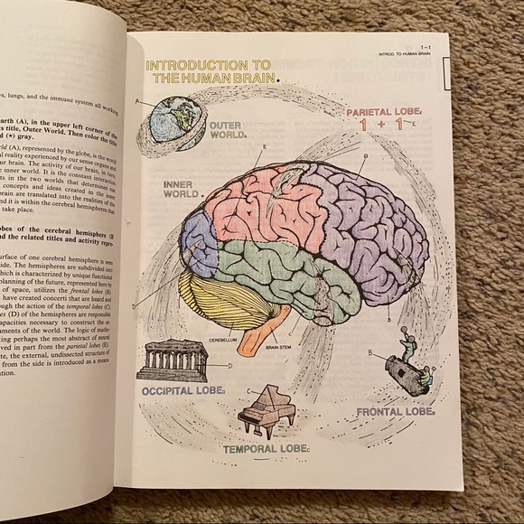 Human Brain Coloring Pages